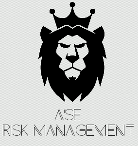 Ase Risk Management Inc.